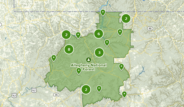 Best Kid Friendly Trails in Allegheny National Forest | AllTrails
