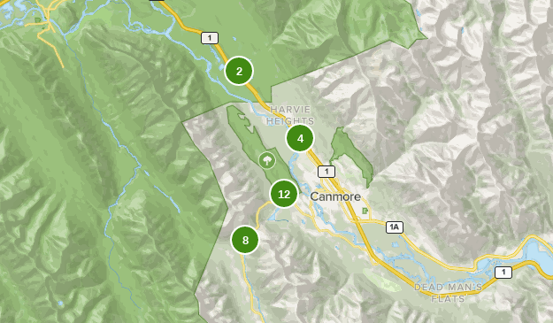 Best Forest Trails in Canmore Nordic Centre Provincial Park | AllTrails