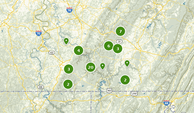 Best Forest Trails in Forbes State Forest | AllTrails