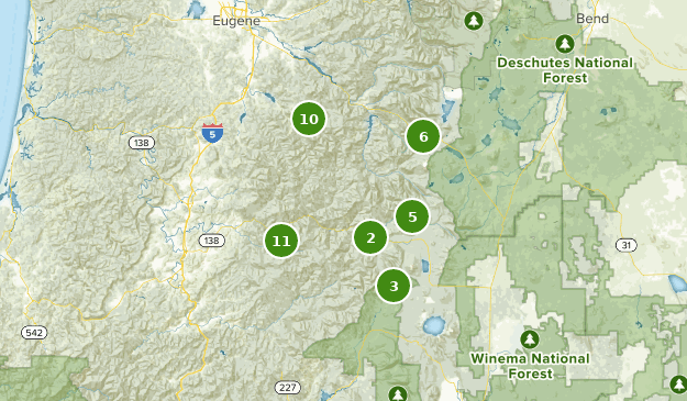 Best Waterfall Trails in Umpqua National Forest | AllTrails