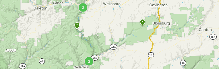 Best Dog Friendly Trails in Tioga State Forest | AllTrails