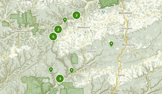 Best Forest Trails in Tioga State Forest | AllTrails