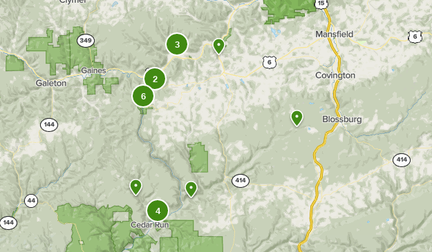 Best Forest Trails in Tioga State Forest | AllTrails