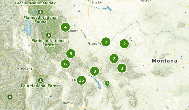 Best Forest Trails in Lewis and Clark National Forest | AllTrails