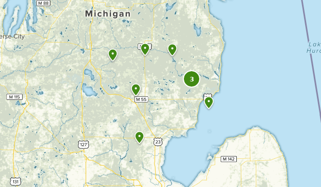 Best Bird Watching Trails in Huron National Forest | AllTrails