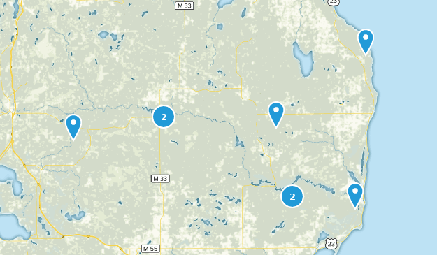 Best Trail Running Trails in Huron National Forest, Michigan | AllTrails