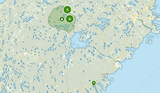 Best Forest Trails in Kejimkujik National Park and National Historic ...