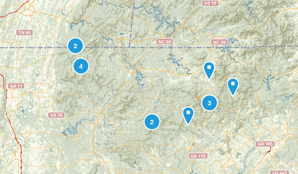 Best Backpacking Trails in Cohutta Wildlife Management Area | 505 ...