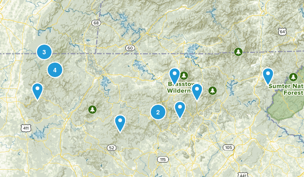 Best Backpacking Trails in Cohutta Wildlife Management Area, Georgia ...