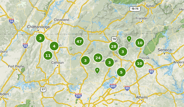 Best Bird Watching Trails in Cohutta Wildlife Management Area | AllTrails