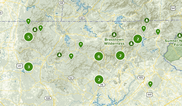 Best Fishing Trails in Cohutta Wildlife Management Area | AllTrails