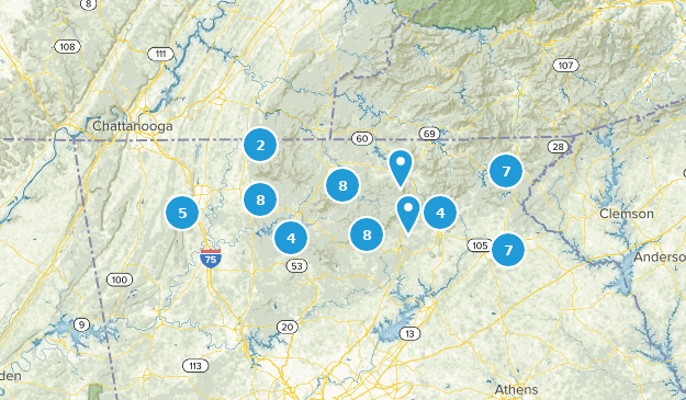 Best Mountain Biking Trails in Cohutta Wildlife Management Area | AllTrails
