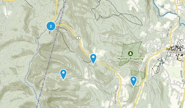 Best Dog Friendly Trails in Taconic Trail State Park | AllTrails