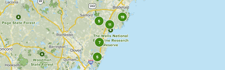 Best Forest Trails in Rachel Carson National Wildlife Refuge | AllTrails