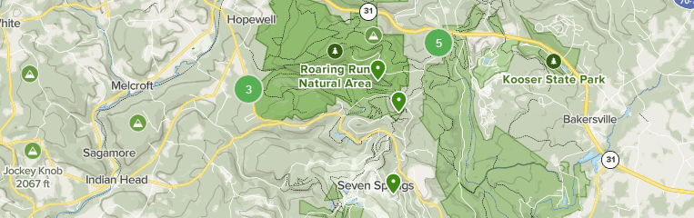 Best Forest Trails in Roaring Run Natural Area | AllTrails