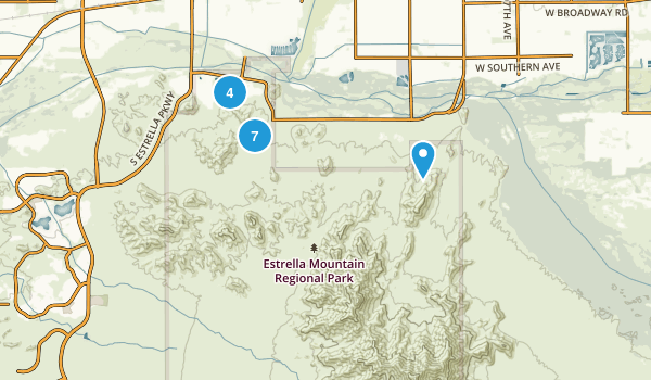 Best Wild Flowers Trails in Estrella Mountain Regional Park | 222 ...
