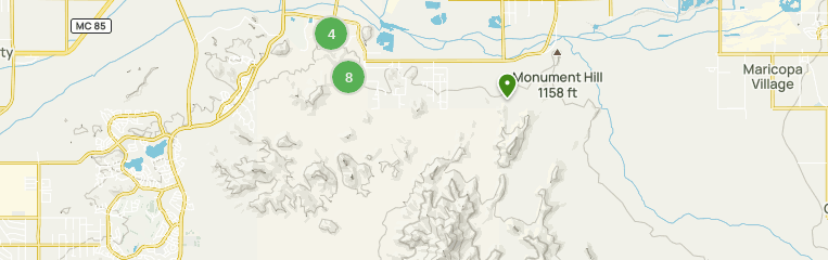 2023 Best 10 Wild Flowers Trails in Estrella Mountain Regional Park ...