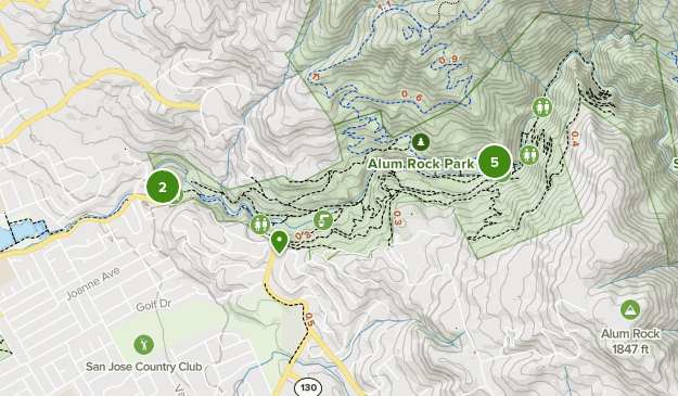 Best Running Trails in Alum Rock Park | AllTrails