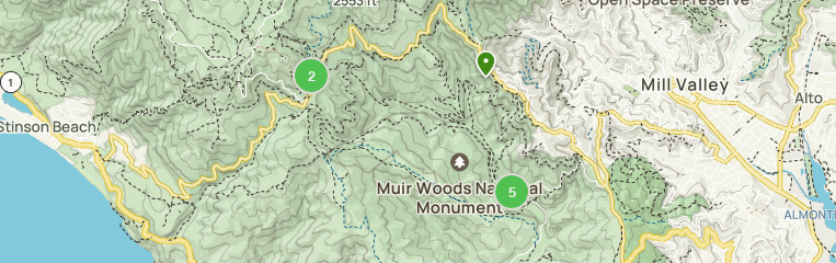 Best Easy Trails in Muir Woods National Monument | AllTrails