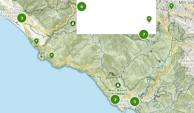 Best Walking Trails in Muir Woods National Monument | AllTrails