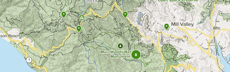 Best Walking Trails in Muir Woods National Monument | AllTrails