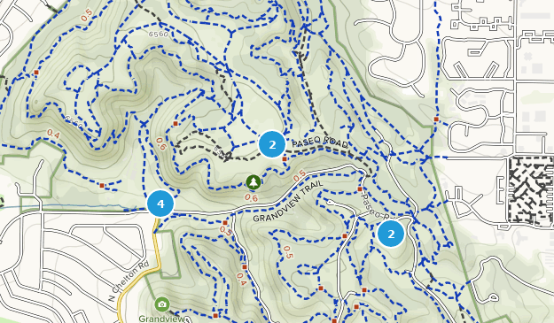 Best Wild Flowers Trails in Palmer Park | AllTrails