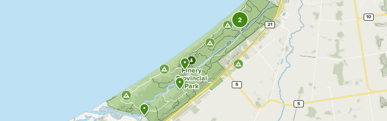 Best Beach Trails in The Pinery Provincial Park | AllTrails