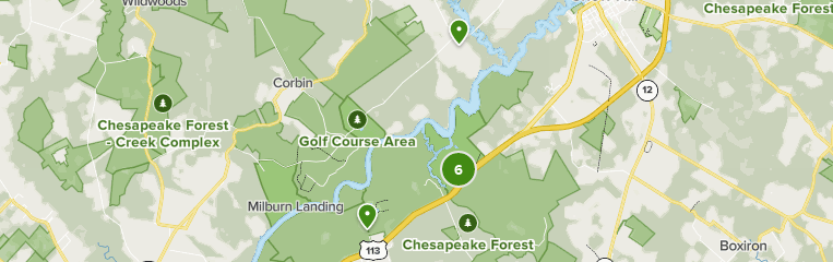 Best Hikes and Trails in Pocomoke State Forest | AllTrails