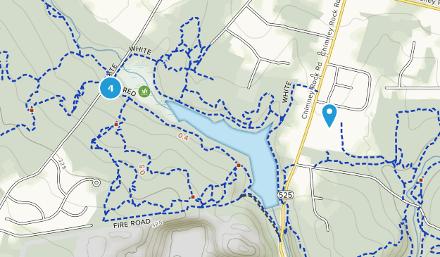 Best Forest Trails in Washington Valley Park | AllTrails