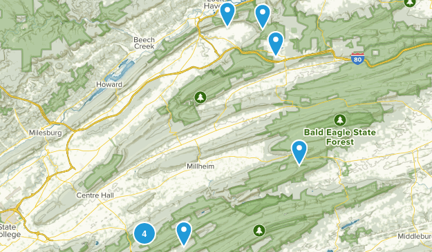 Best Bird Watching Trails in Bald Eagle State Forest | AllTrails