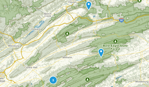 Best Trail Running Trails in Bald Eagle State Forest | AllTrails