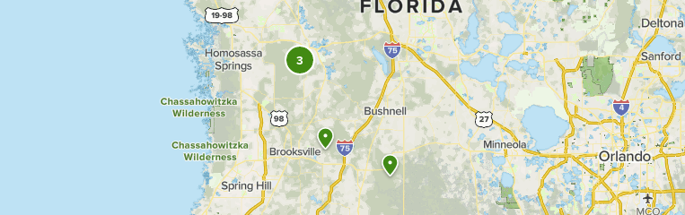 Best backpacking trails in Withlacoochee State Forest, Florida | AllTrails