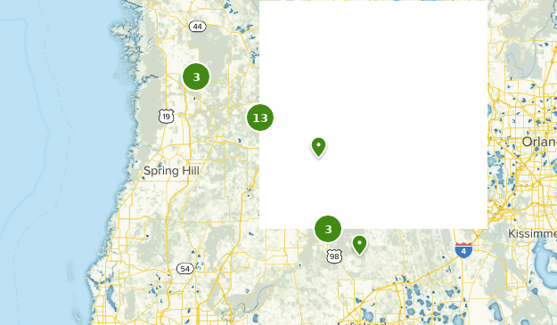 Best Dogs On Leash Trails in Withlacoochee State Forest | AllTrails