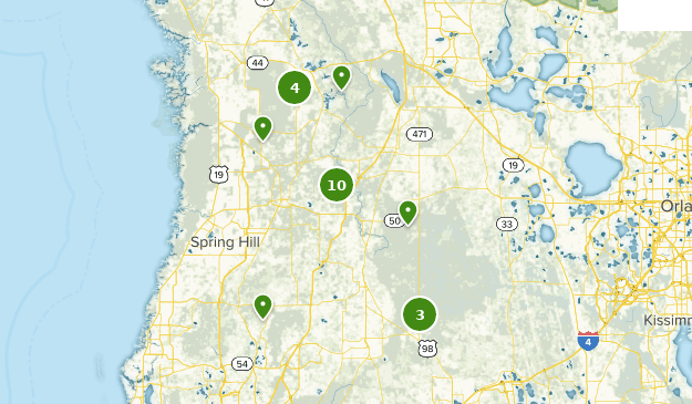 Best Forest Trails in Withlacoochee State Forest | AllTrails