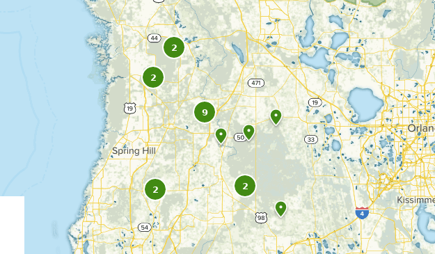 Best Walking Trails in Withlacoochee State Forest | AllTrails