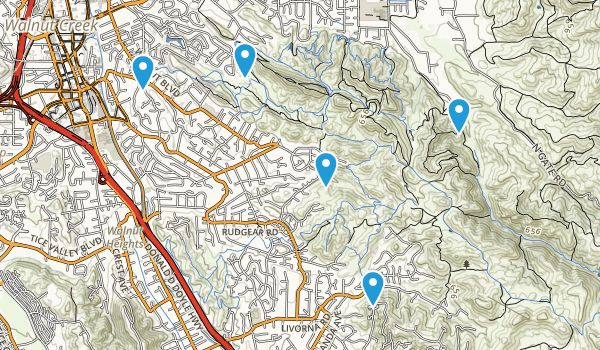 Best Wild Flowers Trails in Shell Ridge Open Space | 331 Photos & 277 ...