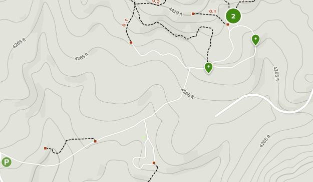 Best Walking Trails in William Heise County Park | AllTrails