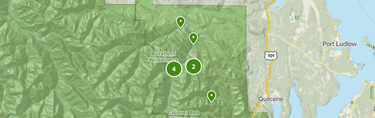 Best Walking Trails in Buckhorn Wilderness | AllTrails