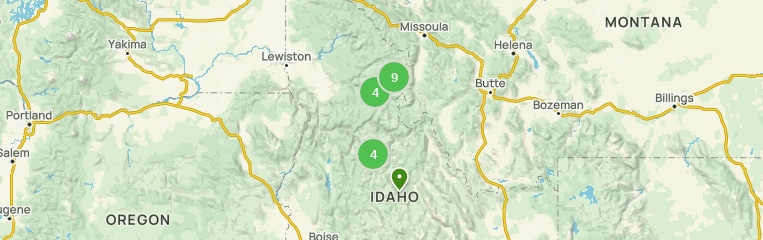 Best Dogs On Leash Trails in Selway-Bitterroot Wilderness | AllTrails