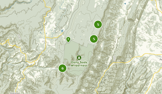 Best Backpacking Trails in Dolly Sods Wilderness | AllTrails