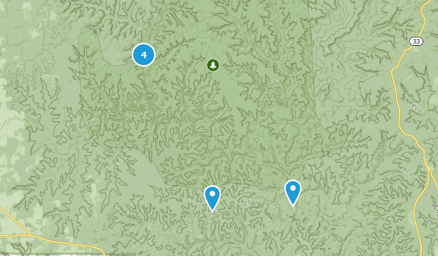 Best Cave Trails in Sipsey Wilderness | AllTrails