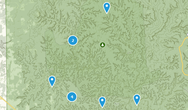 Best Waterfall Trails in Sipsey Wilderness, Alabama | AllTrails