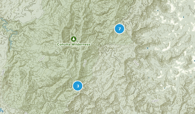 Best Camping Trails in Cohutta Wilderness | AllTrails