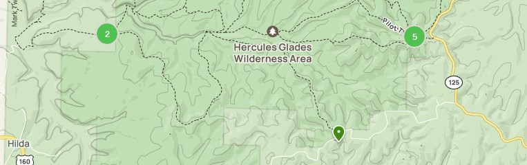 Best Moderate Trails in Hercules-Glades Wilderness | AllTrails
