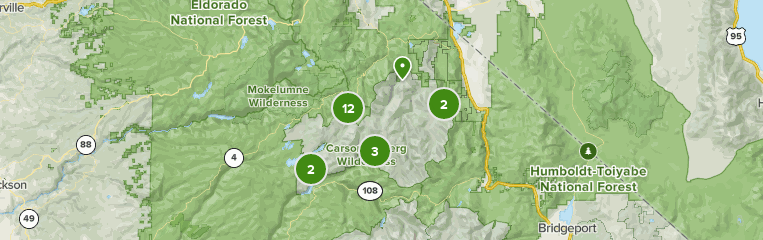 Best 10 Backpacking Trails in Carson-Iceberg Wilderness | AllTrails