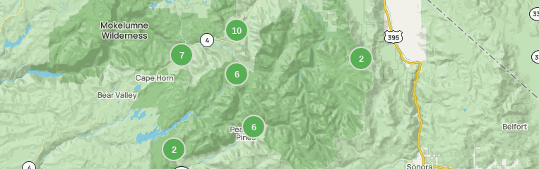 2023 Best 10 Forest Trails in Carson-Iceberg Wilderness | AllTrails