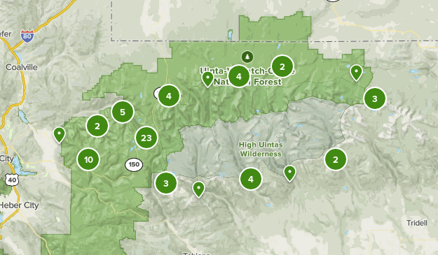 Best Horseback Riding Trails in High Uintas Wilderness | AllTrails