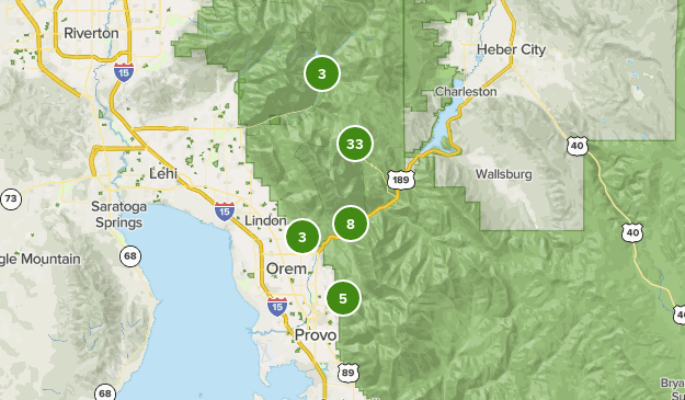 Best Forest Trails in Mount Timpanogos Wilderness | AllTrails