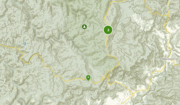 Best River Trails in Cranberry Wilderness | AllTrails