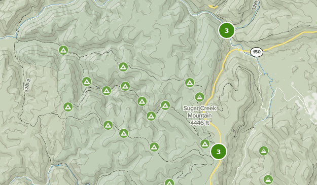 Best Wild Flowers Trails in Cranberry Wilderness | AllTrails